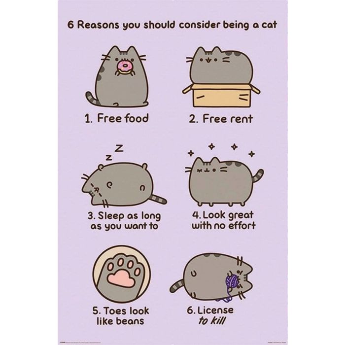 Gameshop Twente: Hole in the Wall Pusheen Maxi Poster-Reasons To Be A ...