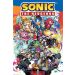 Gameshop Twente: Hole in the Wall Sonic the Hedgehog Maxi Poster-Sonic ...
